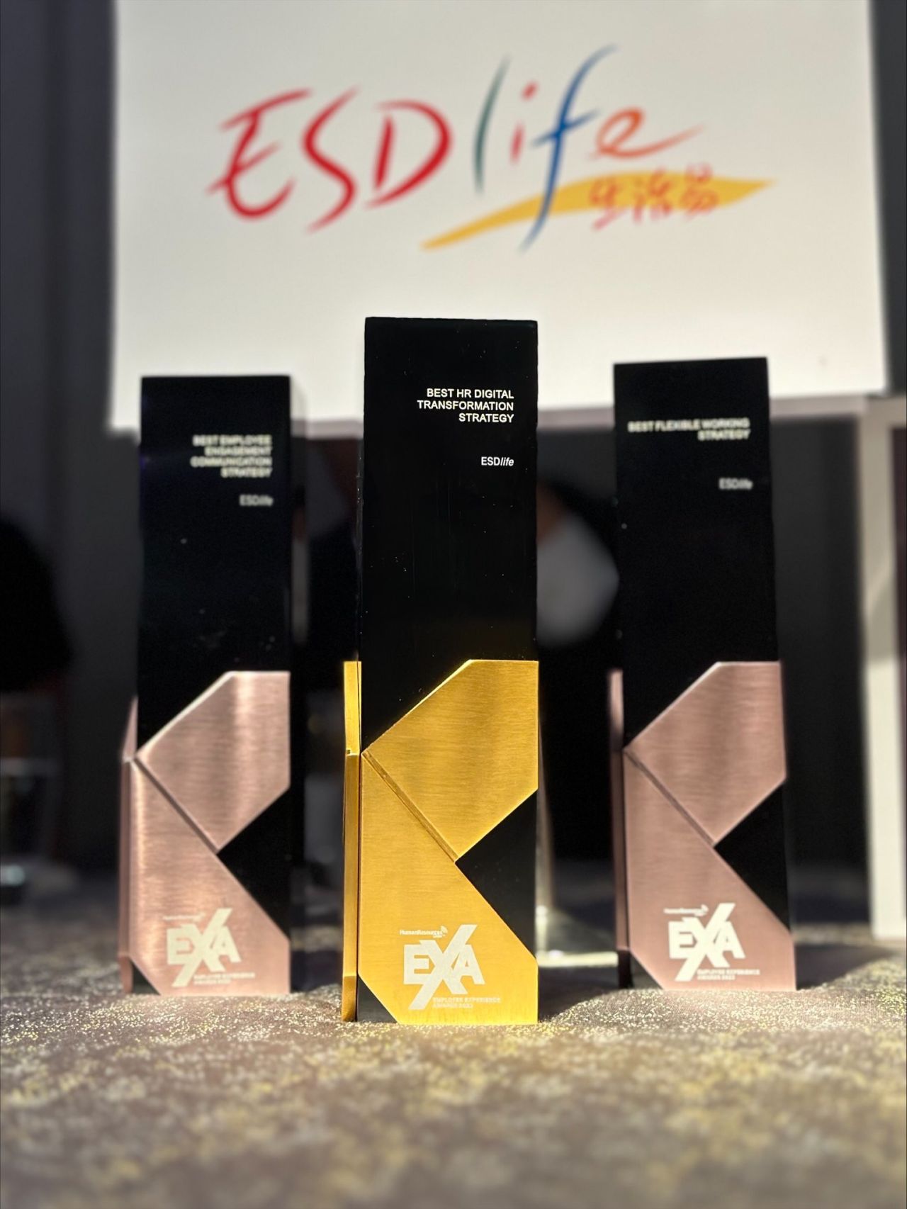 Embracing Excellence at the Employee Experience Awards 2023 – ESDlife